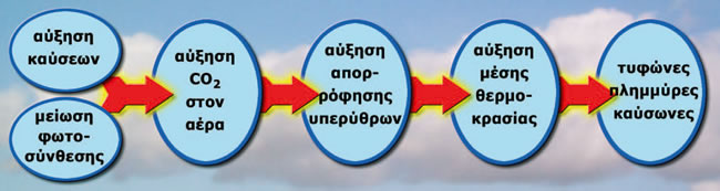 3.3 Διοξείδιο Του Άνθρακα