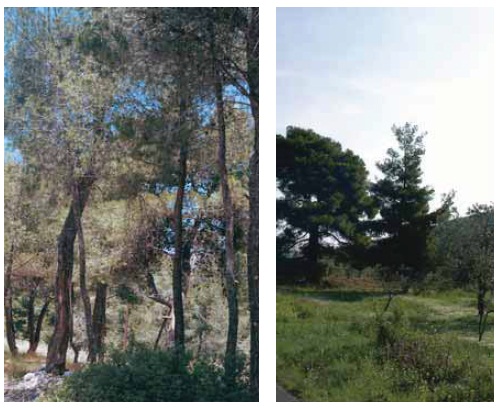 1.4 Αλληλεπιδράσεις και προσαρμογές