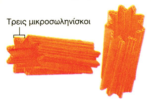 2.3 Μια περιήγηση στο εσωτερικό του κυττάρου