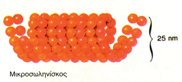 2.3 Μια περιήγηση στο εσωτερικό του κυττάρου