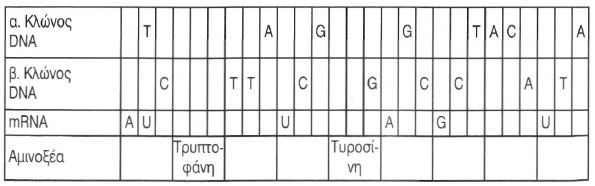 4.2 Μοριακή Γενετική