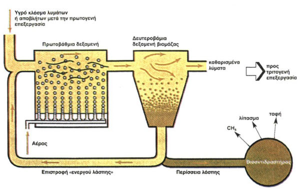 11. Εφαρμογές της Βιοτεχνολογίας στην προστασία του περιβάλλοvτoς